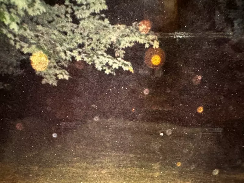 Wiscasset's Ancient Burial Ground